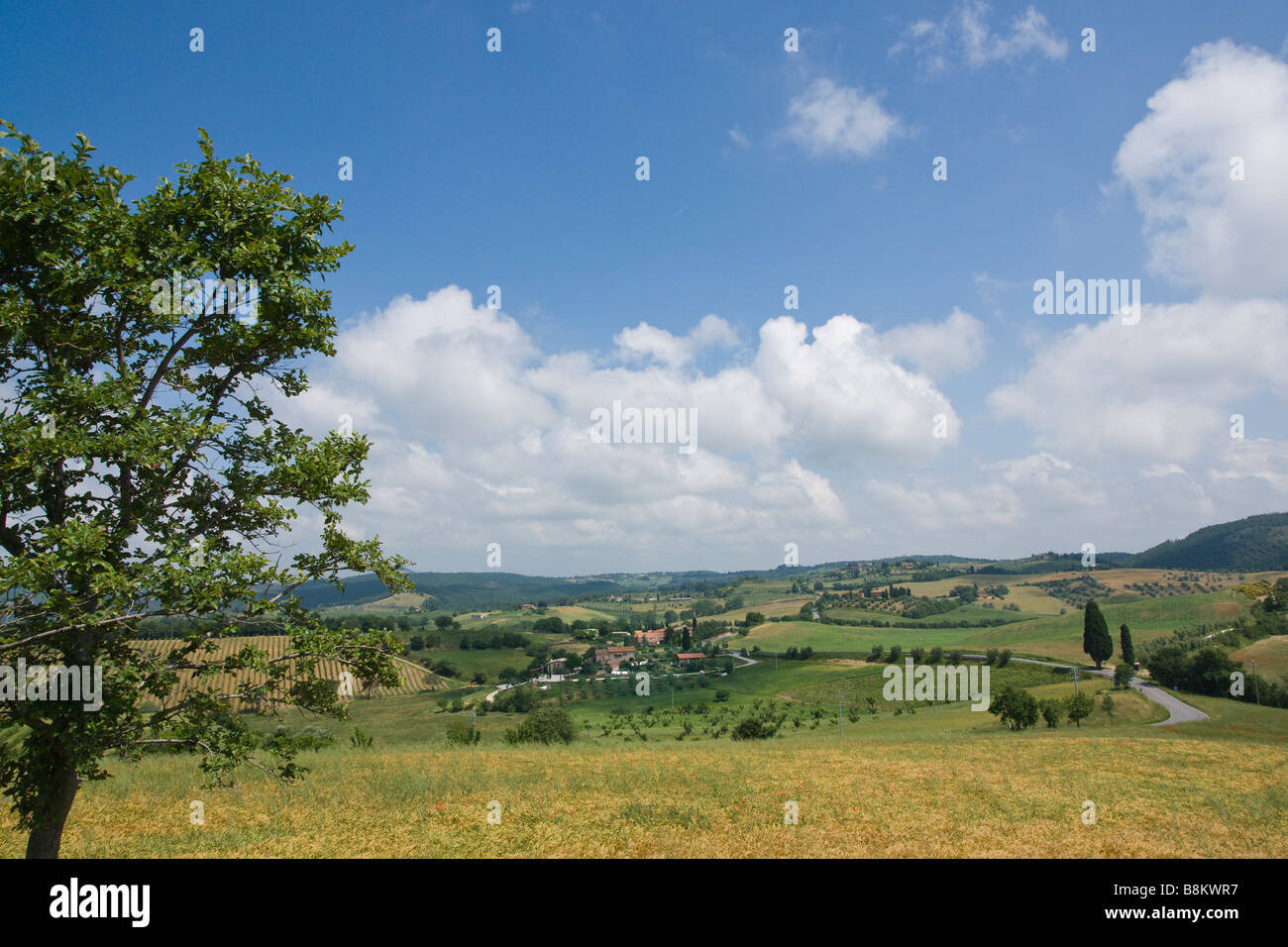 North Italy Landscape