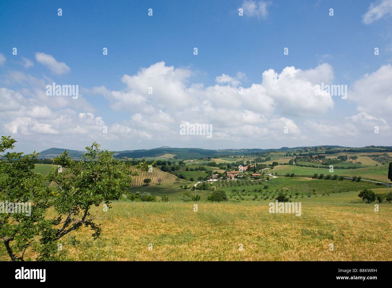 North Italy Landscape