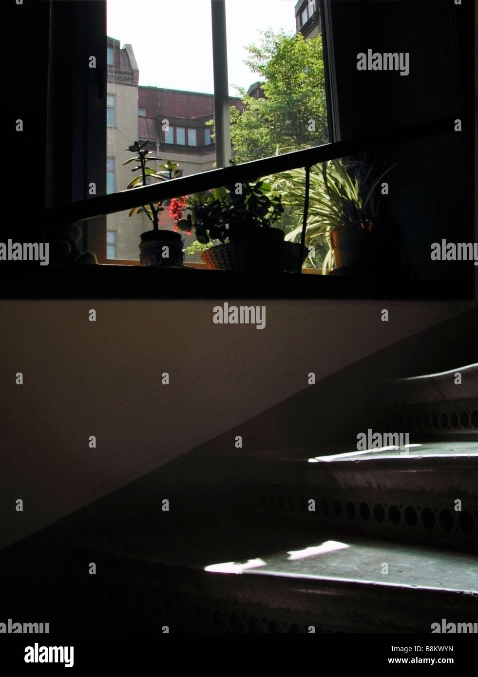 Stairs and window Stock Photo - Alamy