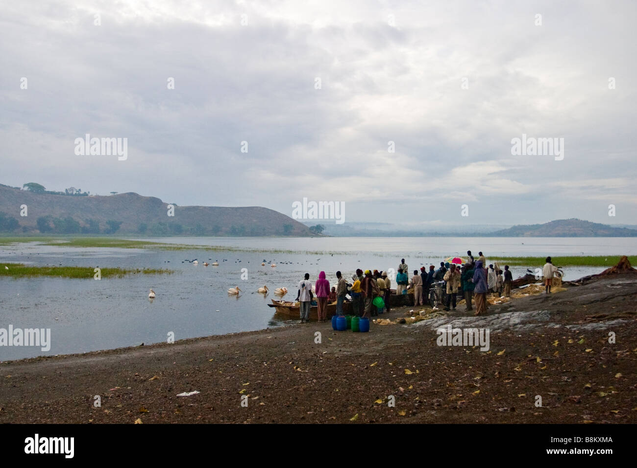 Fish market at Lake Awassa, Awassa, Ethiopia Stock Photo - Alamy