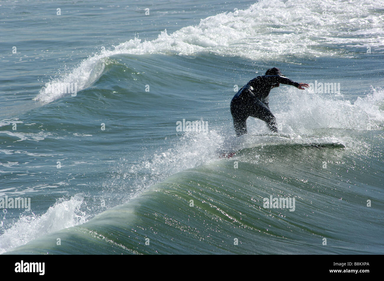 A surfer dives into a curl, riding, surfing along the California ...