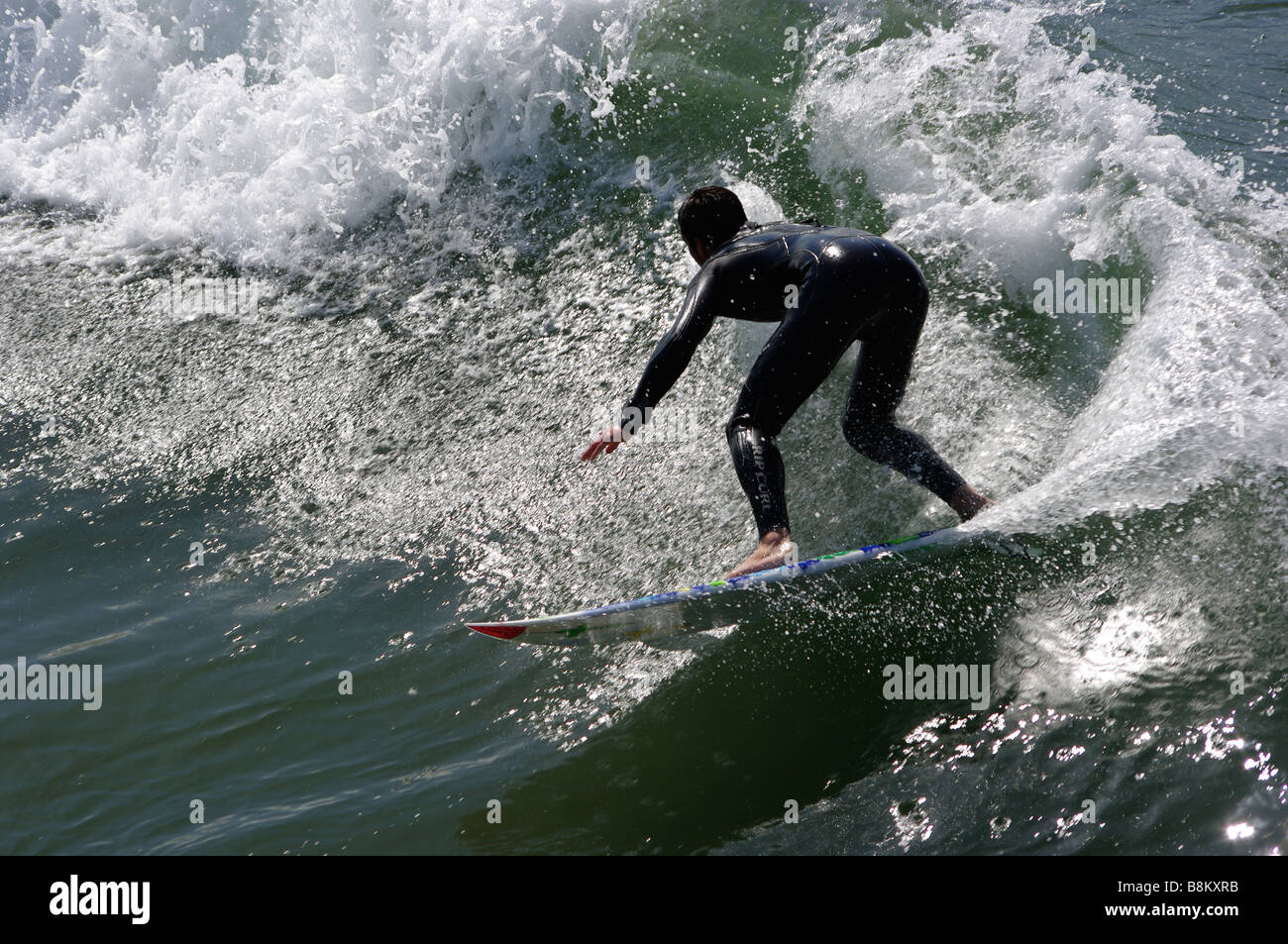 A surfer dives into a curl, riding, surfing along the California coast ...
