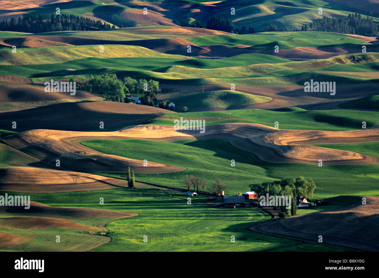 USA, Washington, Whitman County. Farm buildings in springtime brown and ...