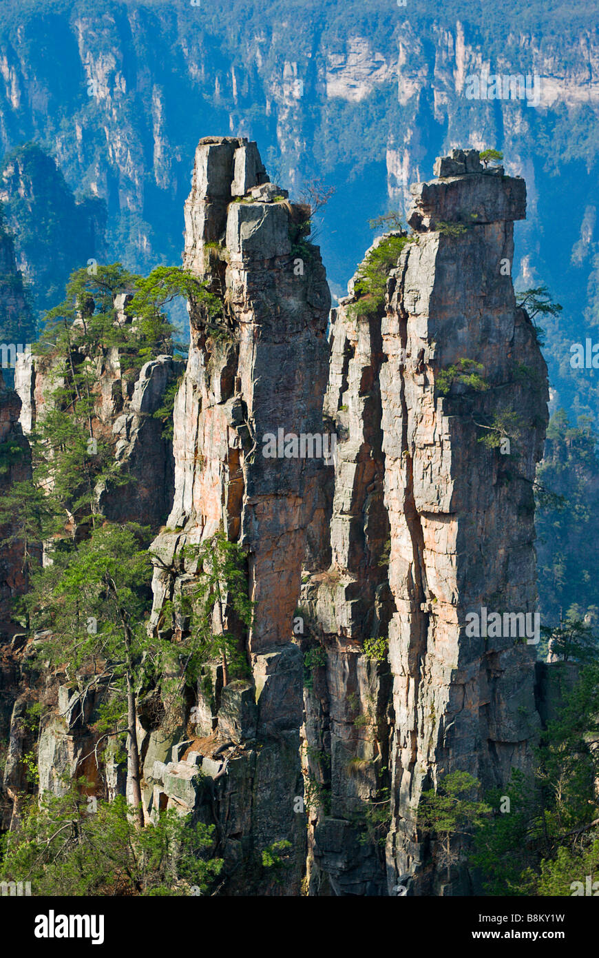Asia, China, Hunnan Province, Zhangjiajie National Forest Park ...