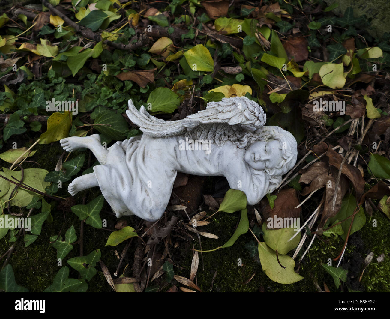Angel sleeping child hi-res stock photography and images - Alamy