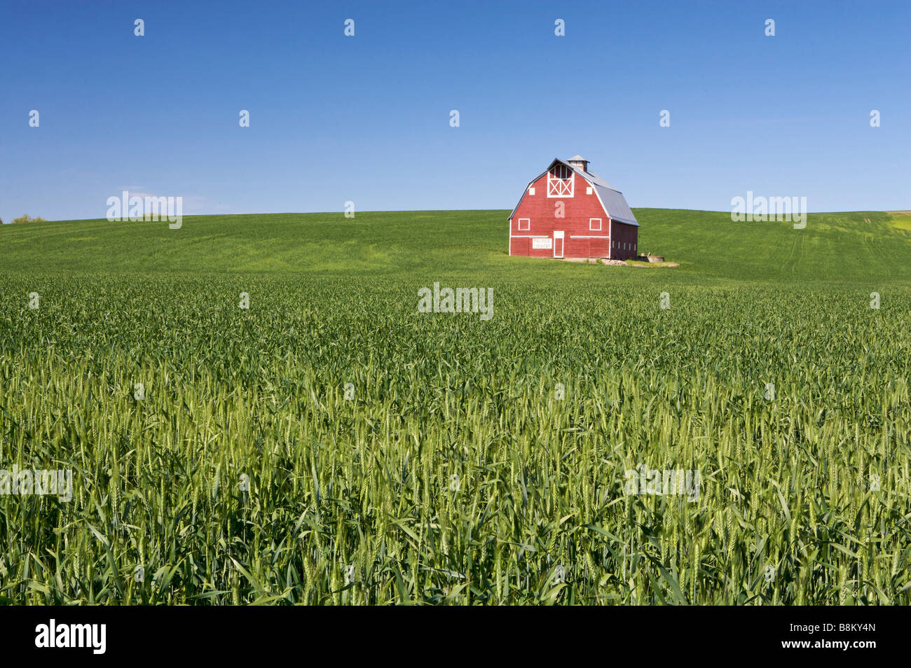 Red barn in rolling farm country of the Palouse area of eastern ...