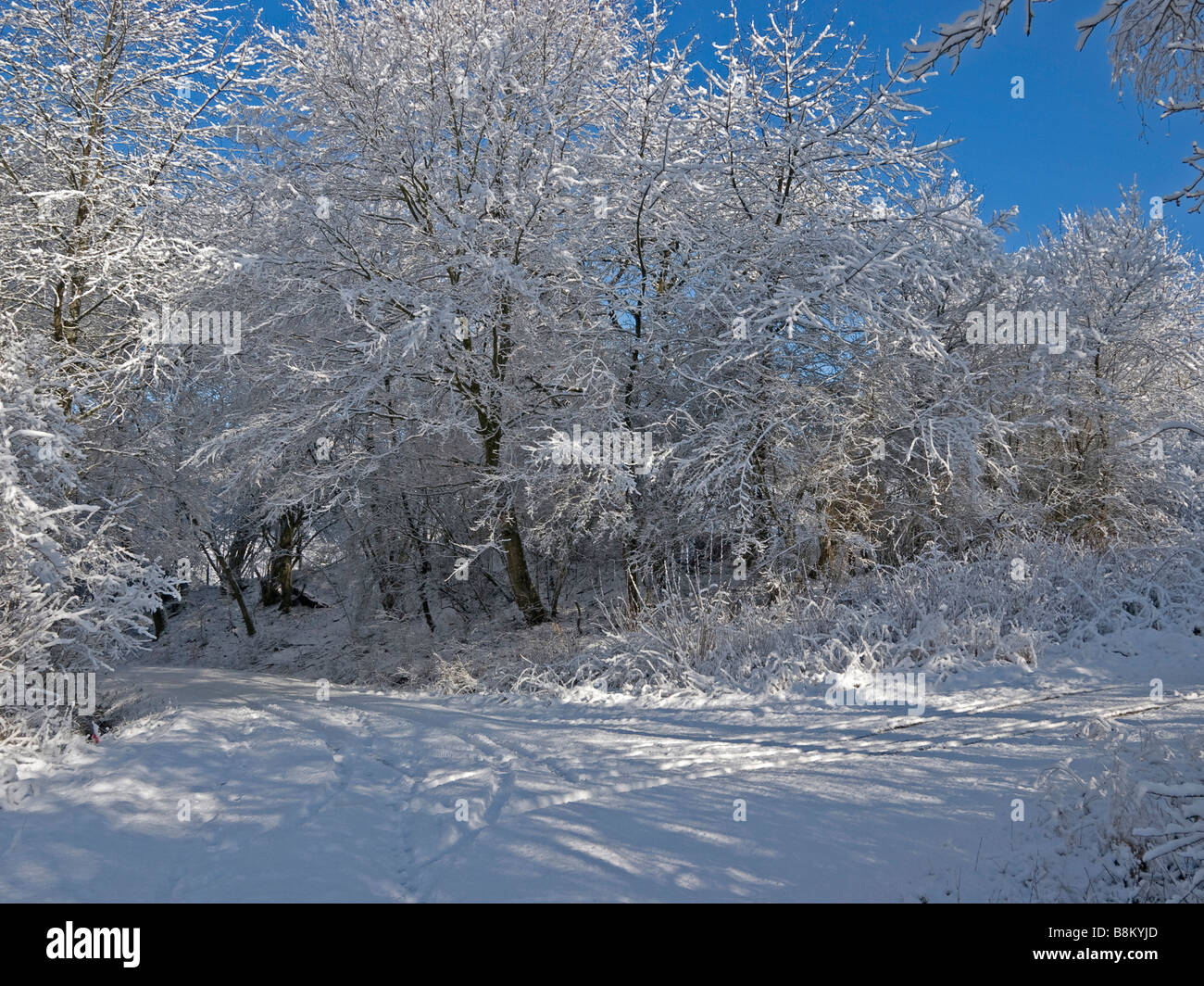 Ways in hi-res stock photography and images - Alamy