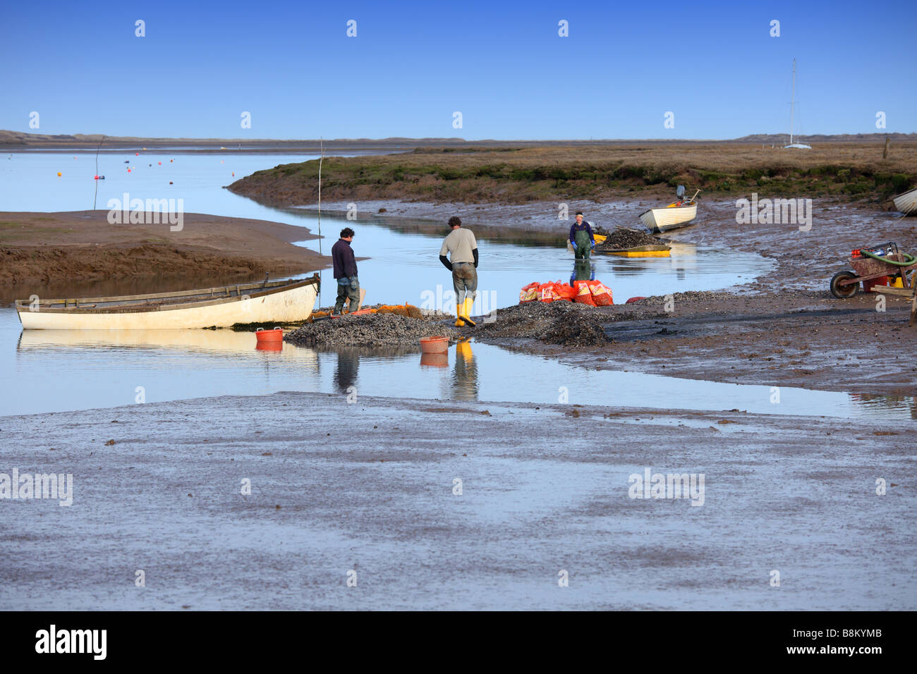 Fishermen Loading the days catch of Mussels [North Norfolk Coast ...