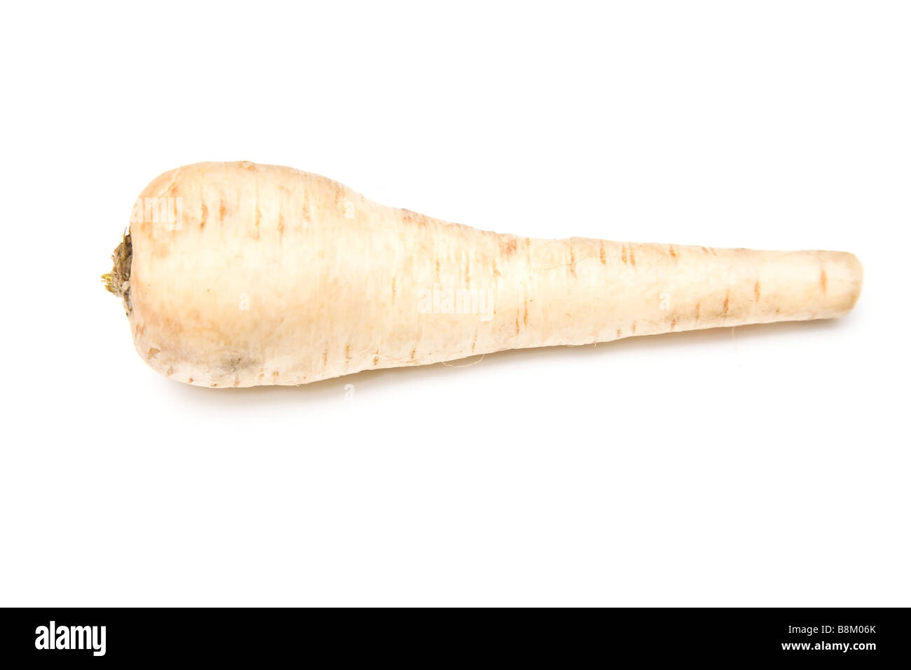 Parsnip isolated on a white studio background Stock Photo - Alamy