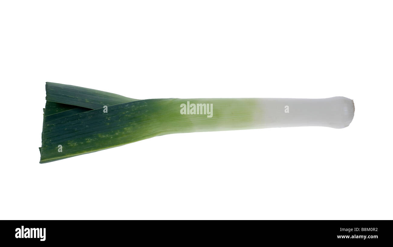 fresh leek isolated on a white background Stock Photo - Alamy