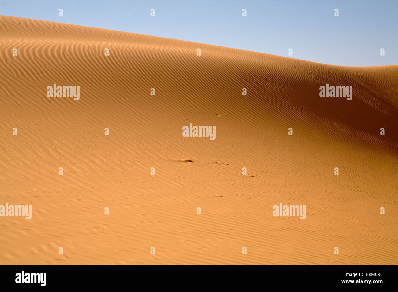 Sahara sand dunes with marks panoramic picture close to the Nubian ...