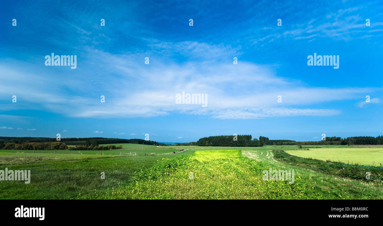 a summer landscape background Stock Photo - Alamy