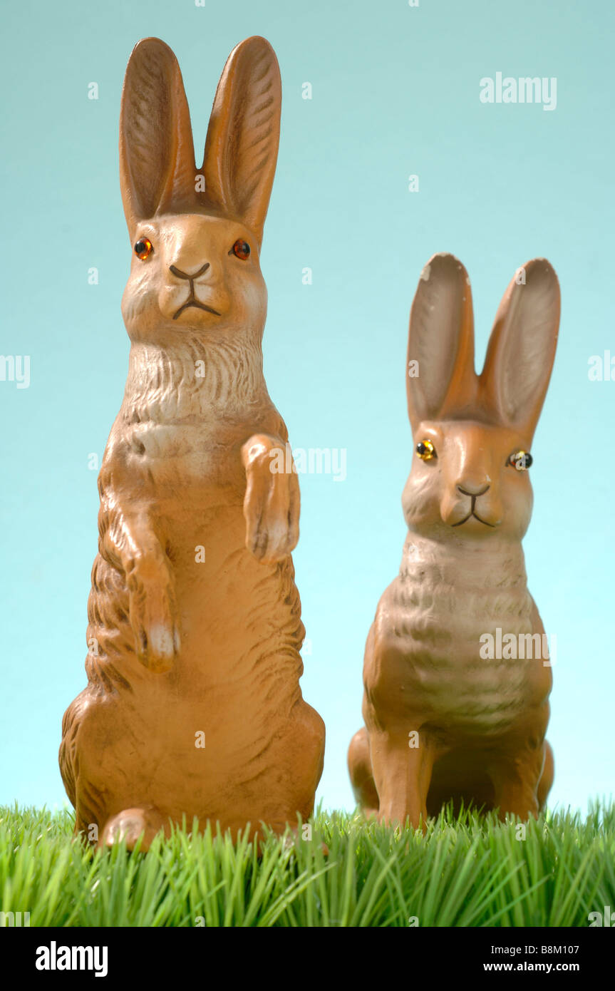 Two bunnys hi-res stock photography and images - Alamy