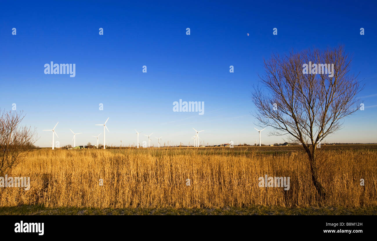 Windturbines windmill netherlands hi-res stock photography and images ...