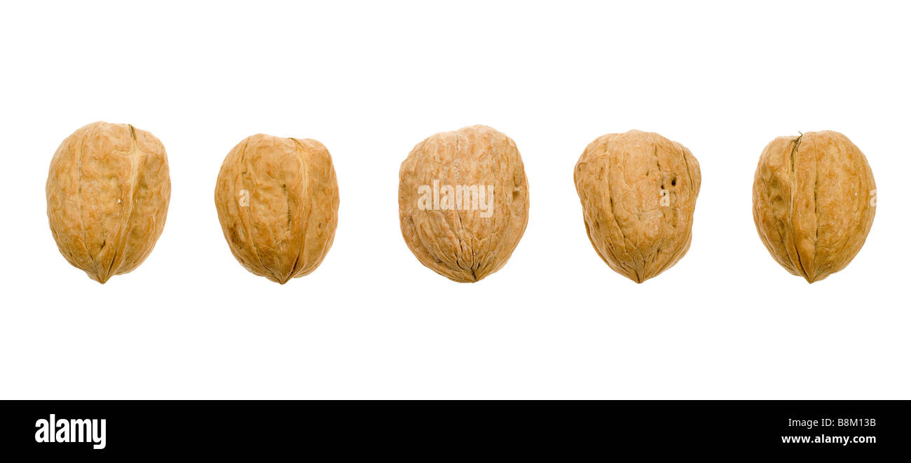 Walnuts fresh a hi-res stock photography and images - Alamy