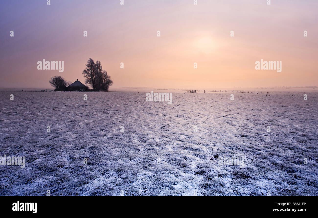 a small farm in a winter landscape in Friesland The Netherlands Stock ...
