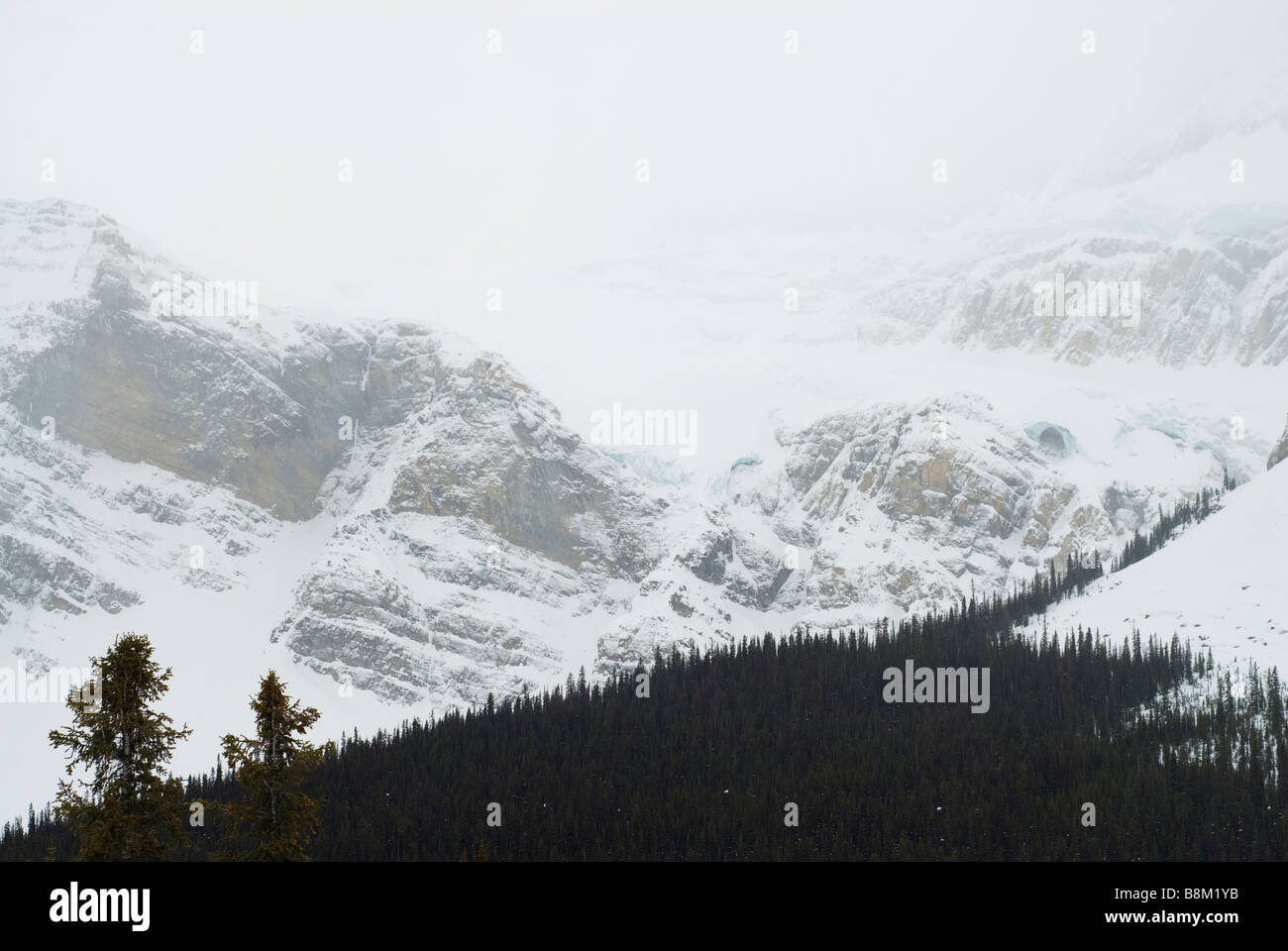 Fresh snow in Banff National Park, Alberta, Canada, North America Stock ...