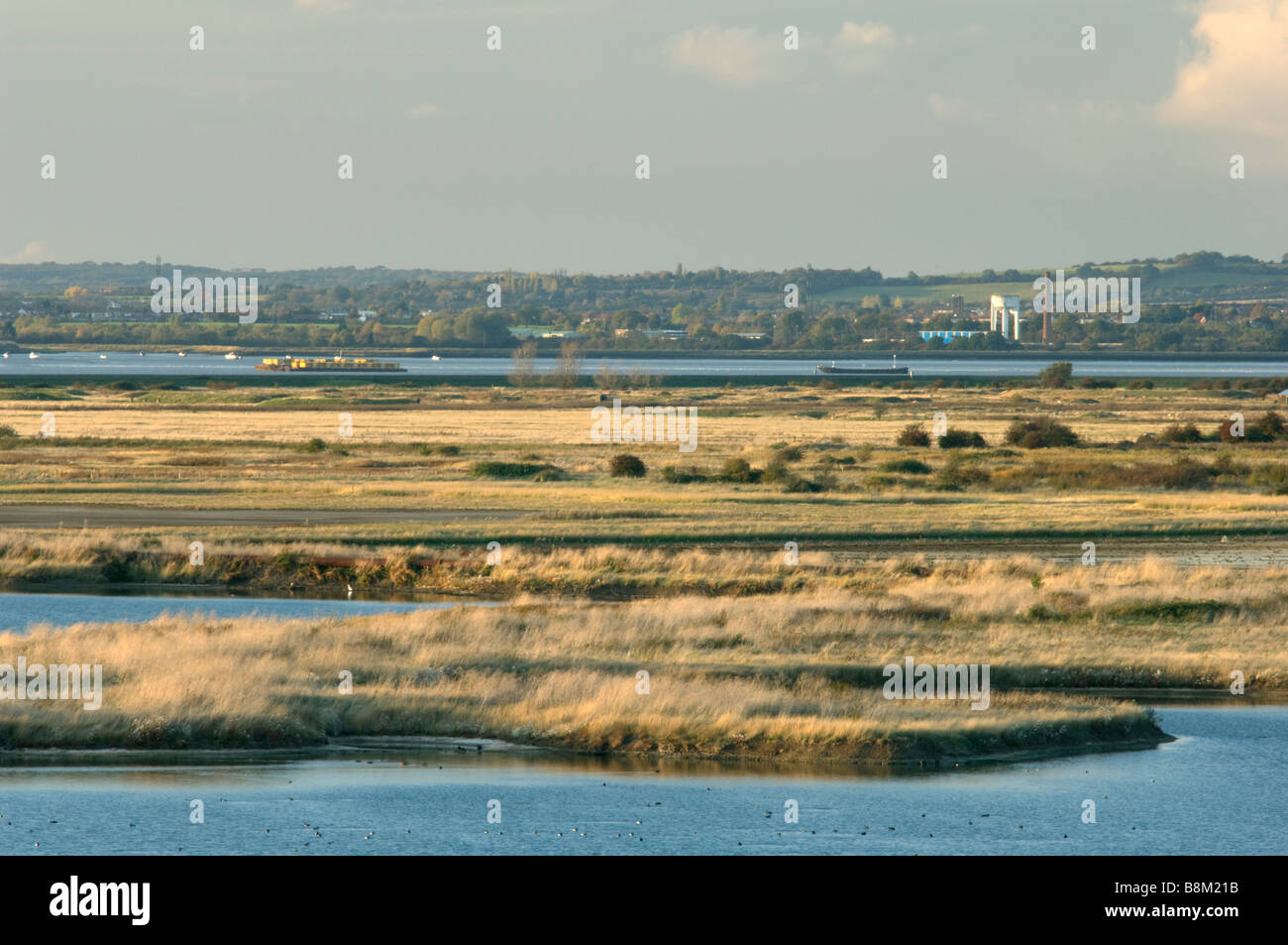 Cliffe pools rspb hi-res stock photography and images - Alamy