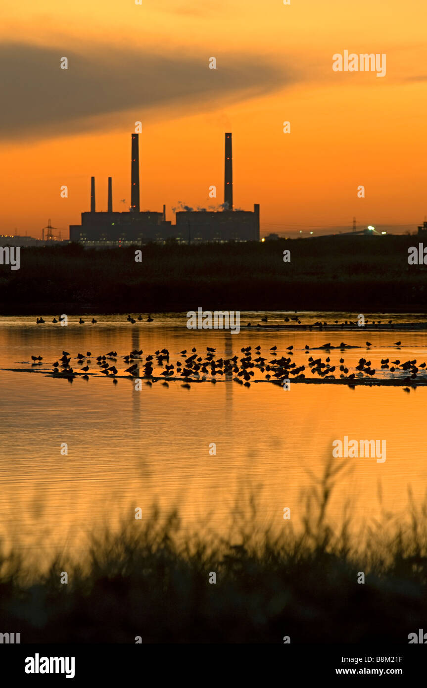 Cliffe pools rspb reserve hi-res stock photography and images - Alamy