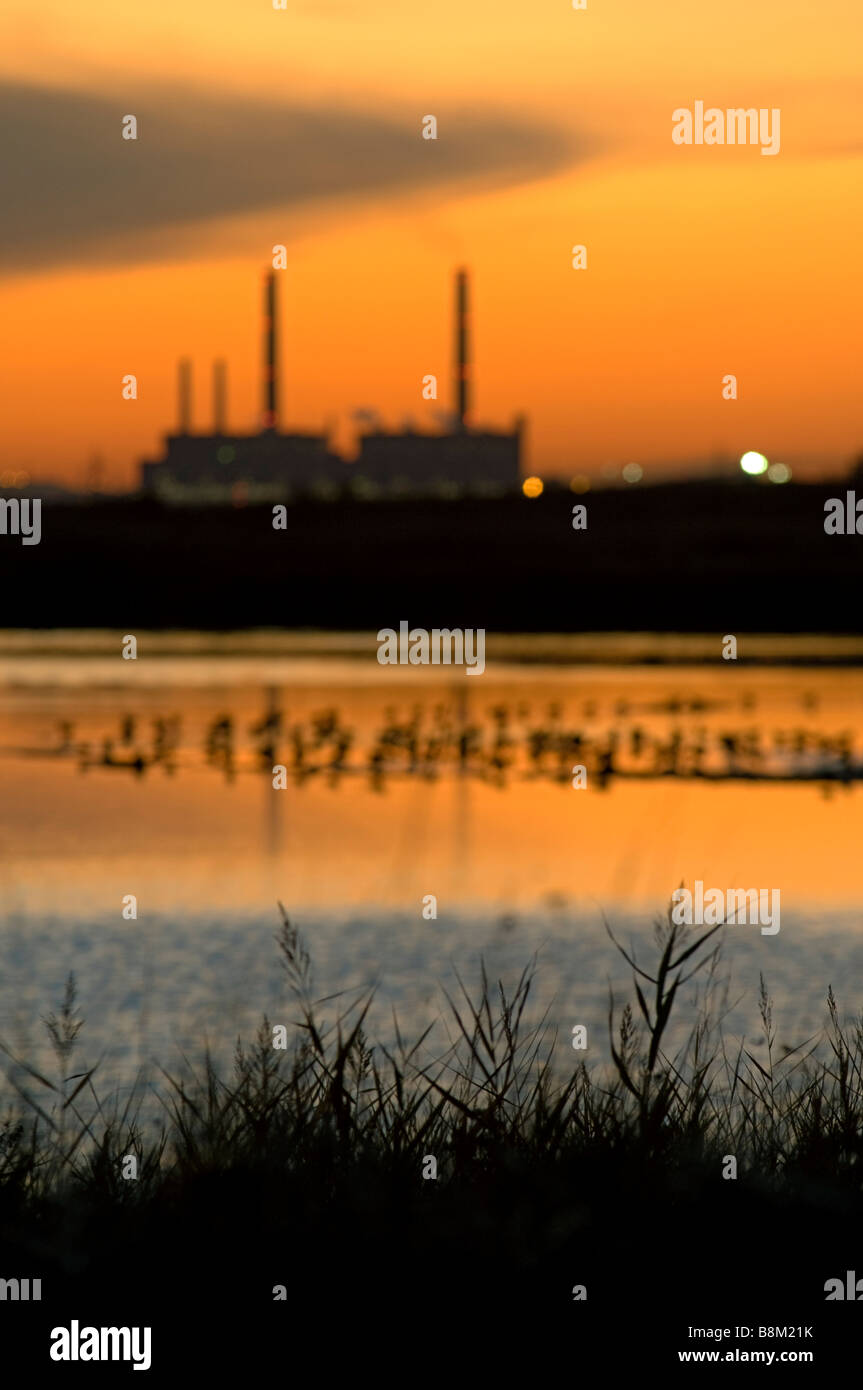 Cliffe marshes hi-res stock photography and images - Alamy