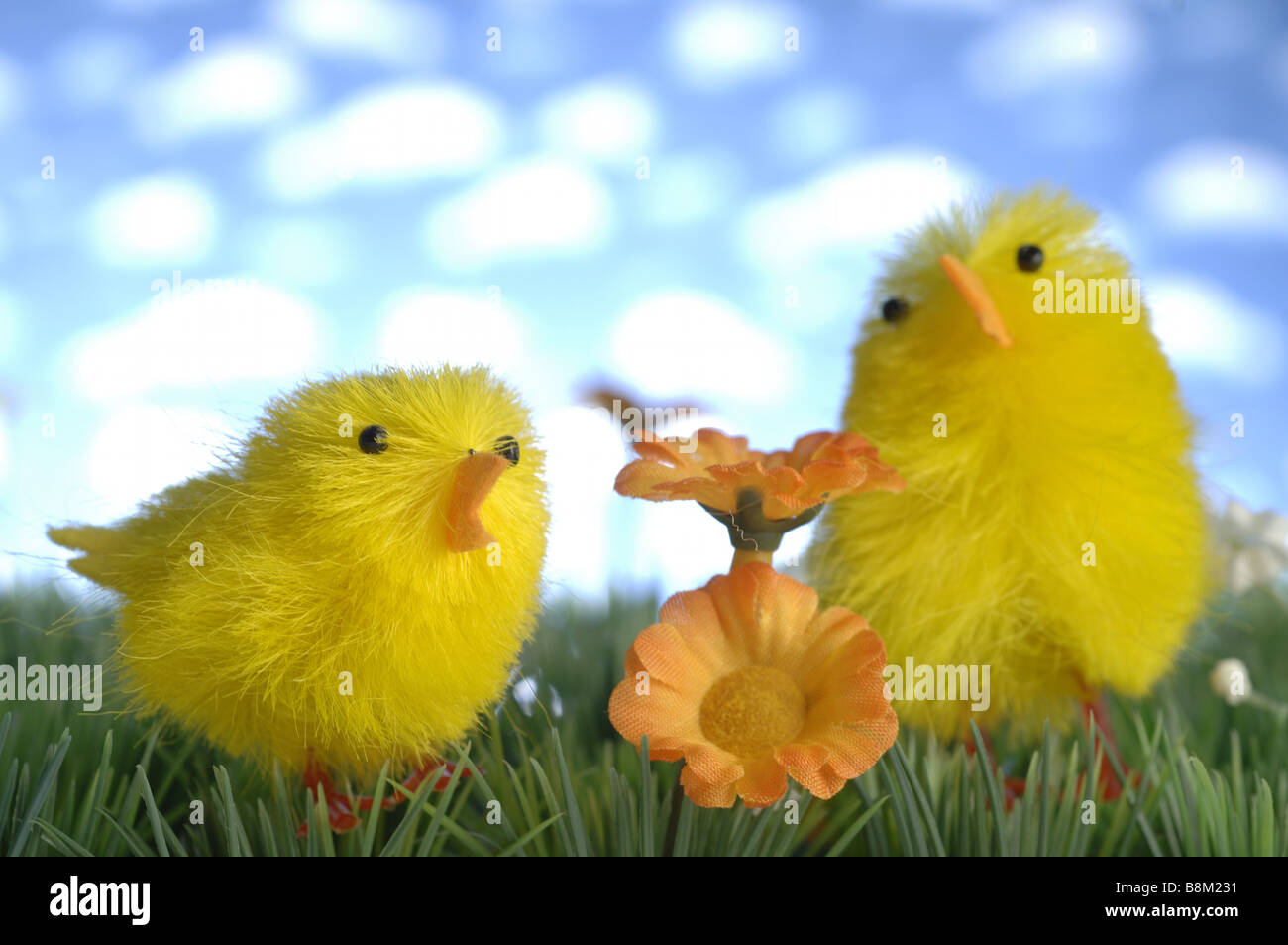 Decorative chicken hi-res stock photography and images - Alamy