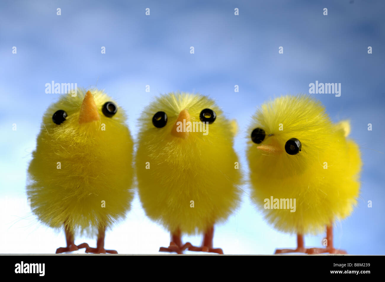 Decorative chicken hi-res stock photography and images - Alamy