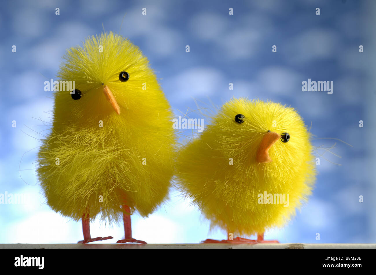 Decorative chicken hi-res stock photography and images - Alamy