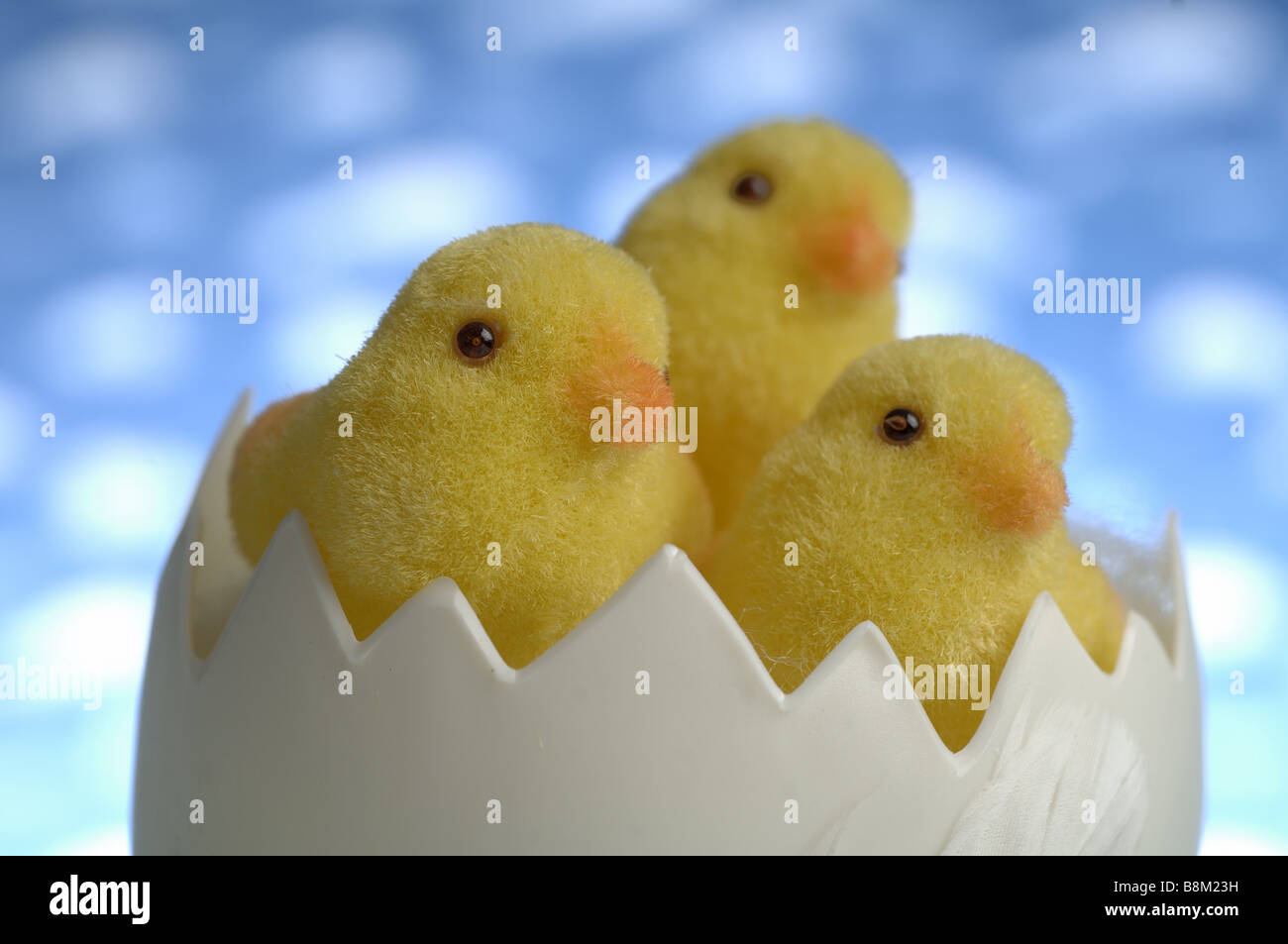 Decorative chicken hi-res stock photography and images - Alamy