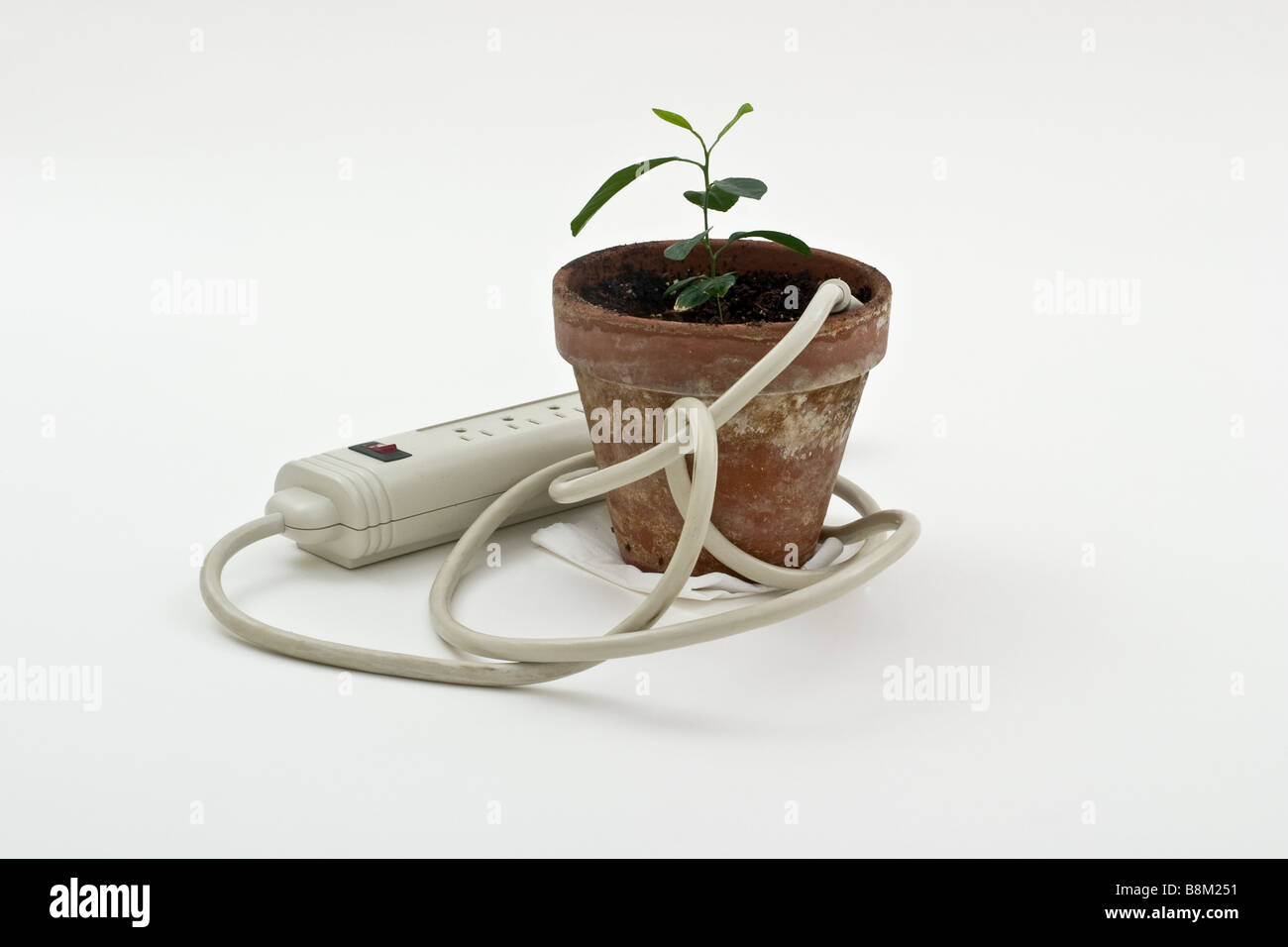 Electric surge suppressor wired into a flower pot filled with potting ...