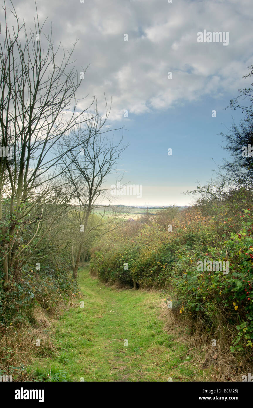 Northward hill rspb reserve hi-res stock photography and images - Alamy