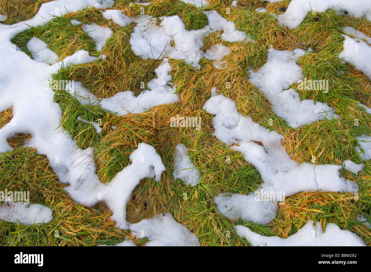 Clumps snow hi-res stock photography and images - Alamy