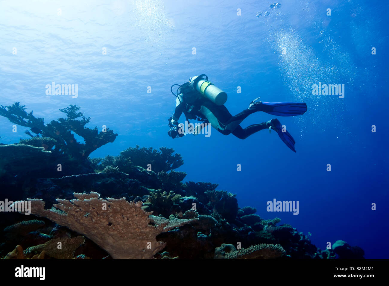Diver with camera in deep and bubbles Underwater photographer Stock ...