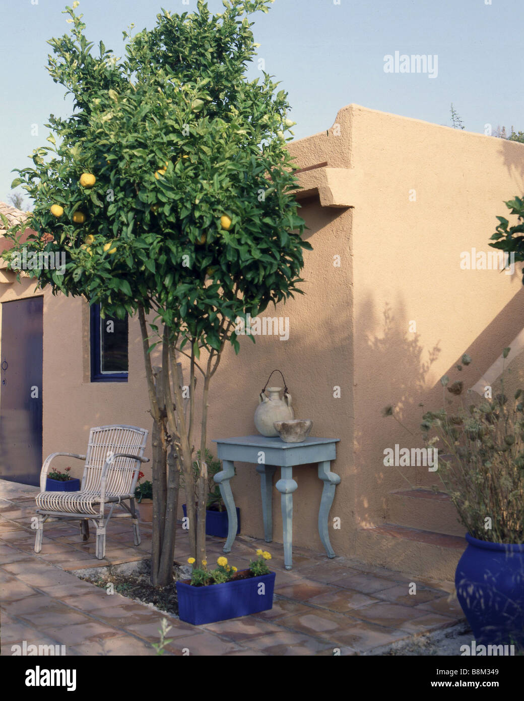 lemon tree infront of house Stock Photo - Alamy