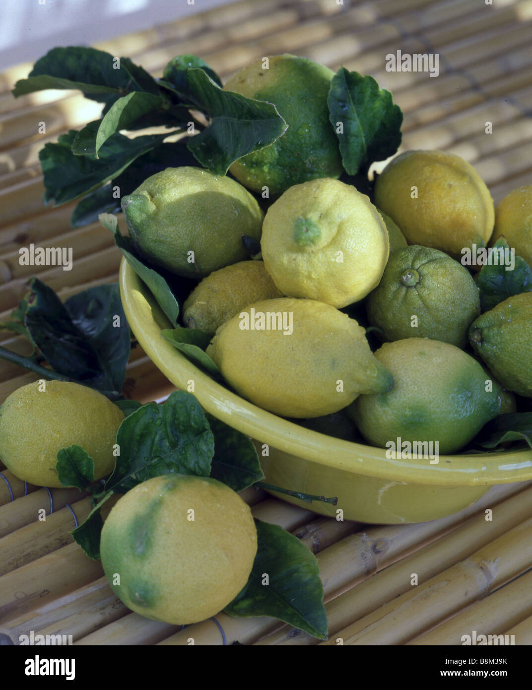 lemmon in a fruit bowl Stock Photo - Alamy