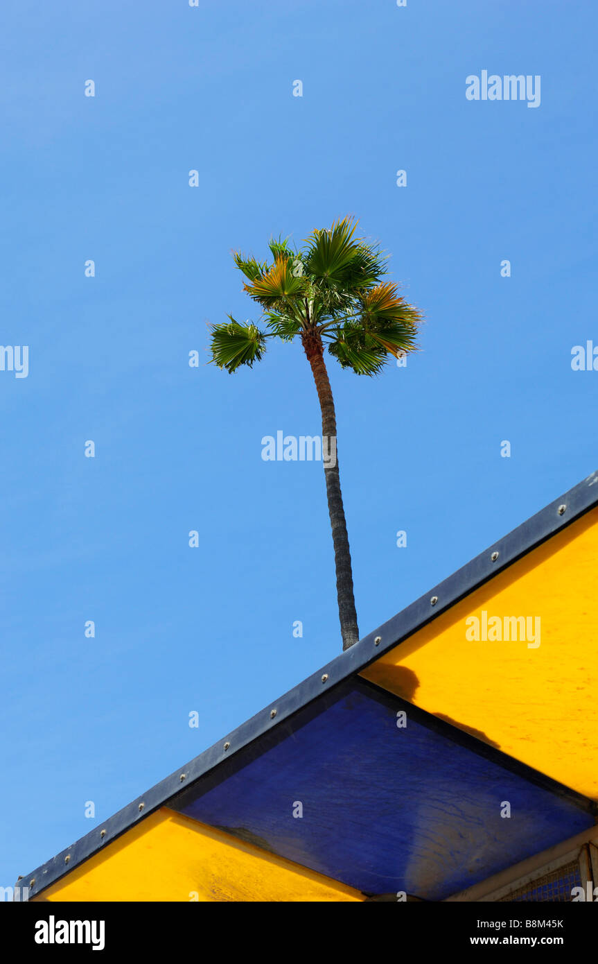 The famous beach waterfront in spring, Santa Monica CA Stock Photo - Alamy