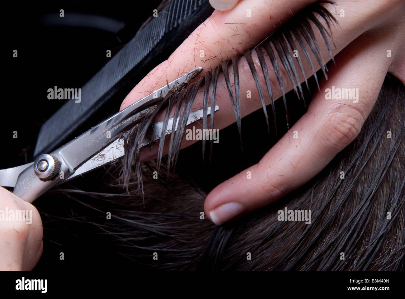 brown hair being cut by a hairdresser Stock Photo - Alamy
