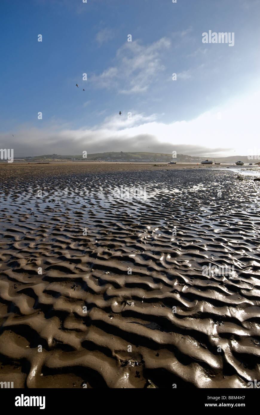 sand, Appledore, Devon, blue sky, portrait, cover shot, ripples, sandy ...