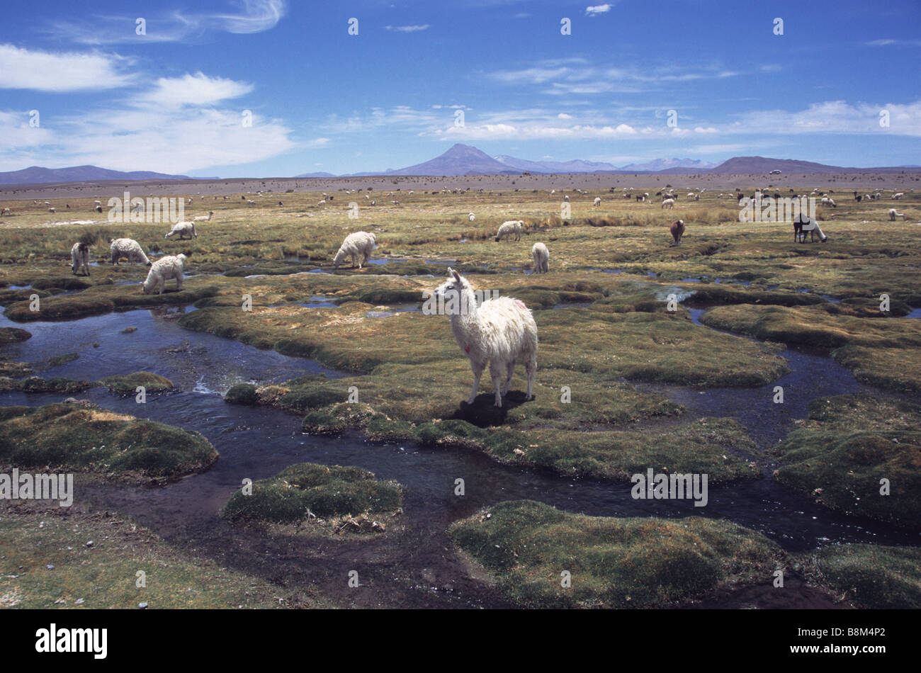 Volcán cariquima hi-res stock photography and images - Alamy