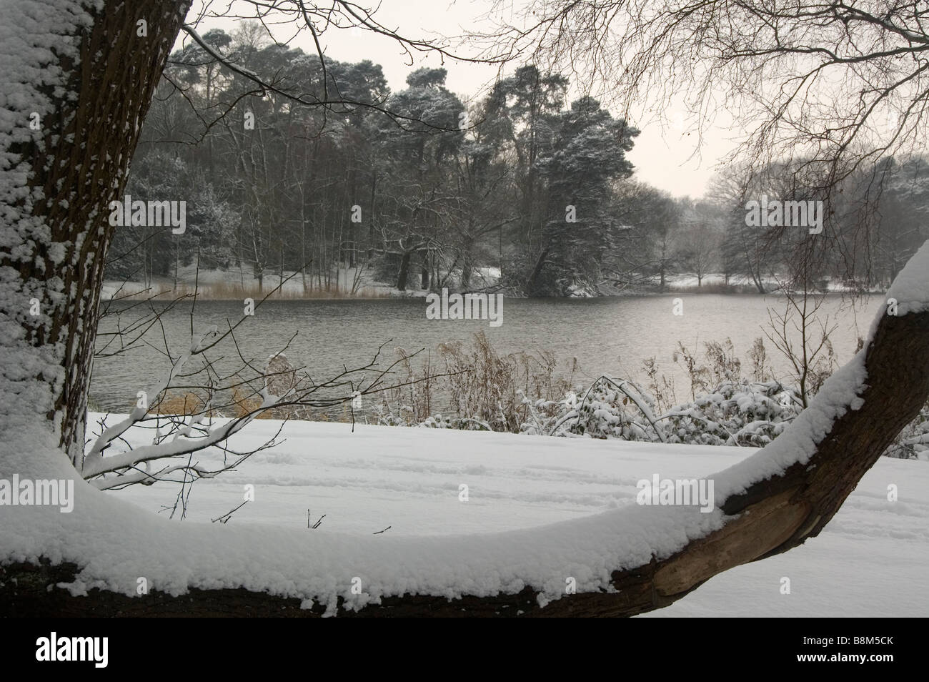 Virginia Water Lake Virginia Water Surrey England UK Stock Photo - Alamy