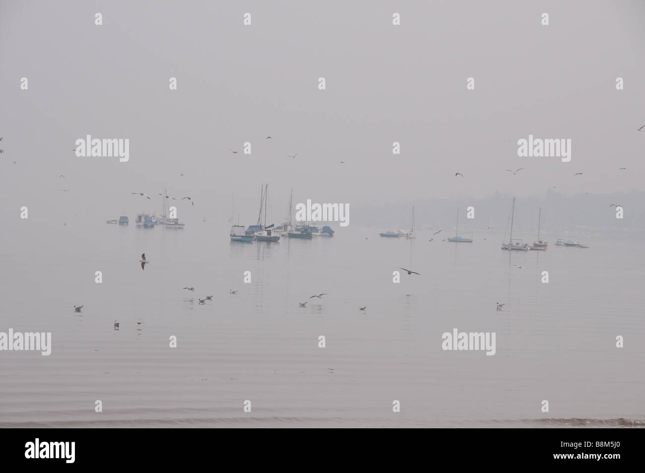 Fog and boats hi-res stock photography and images - Alamy