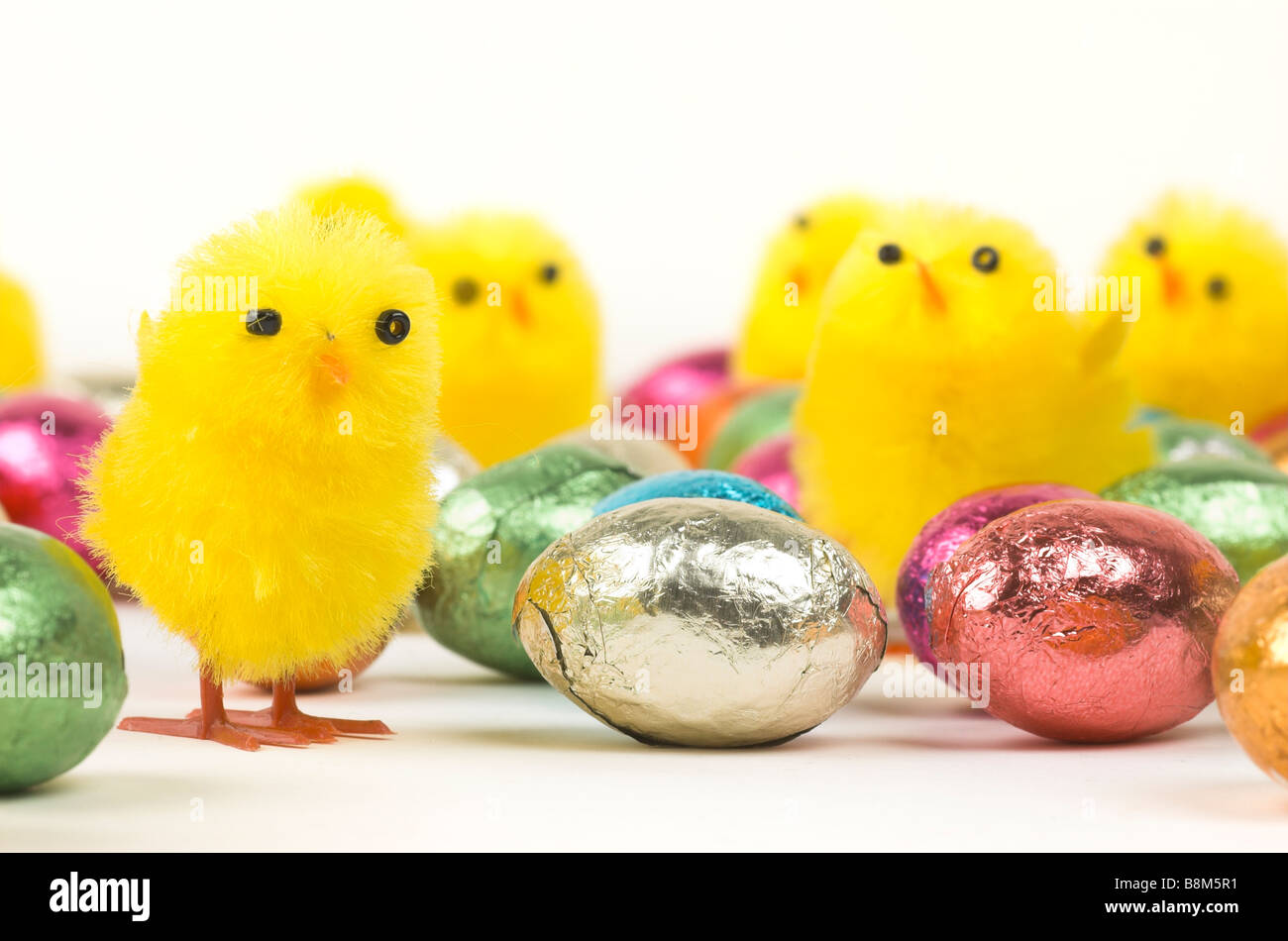 Easter chocolate chicks hi-res stock photography and images - Alamy