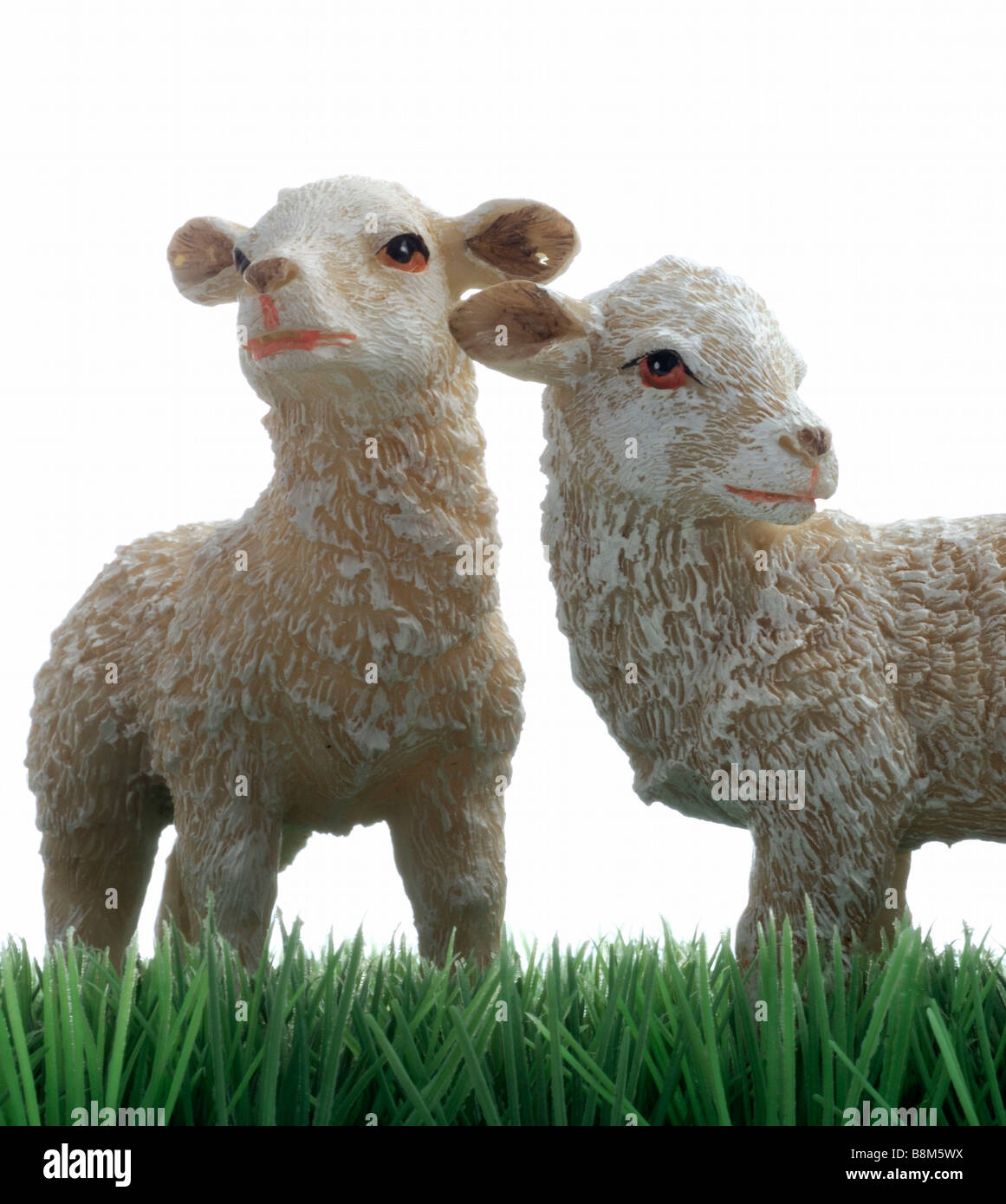 Made lamb hi-res stock photography and images - Alamy