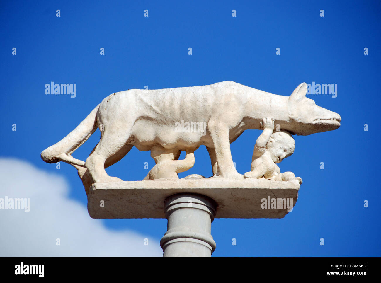 Statue of Romulus, Remus and a wolf, Sienna, Italy Stock Photo - Alamy