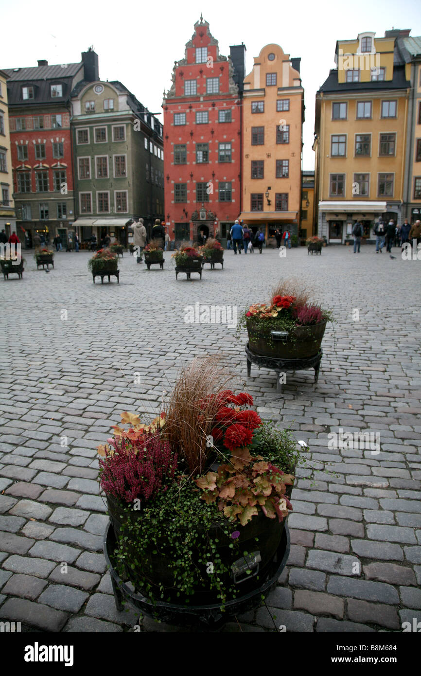 Colourful houses, Stortorget, Gamla Stan, the old town of Stockholm ...