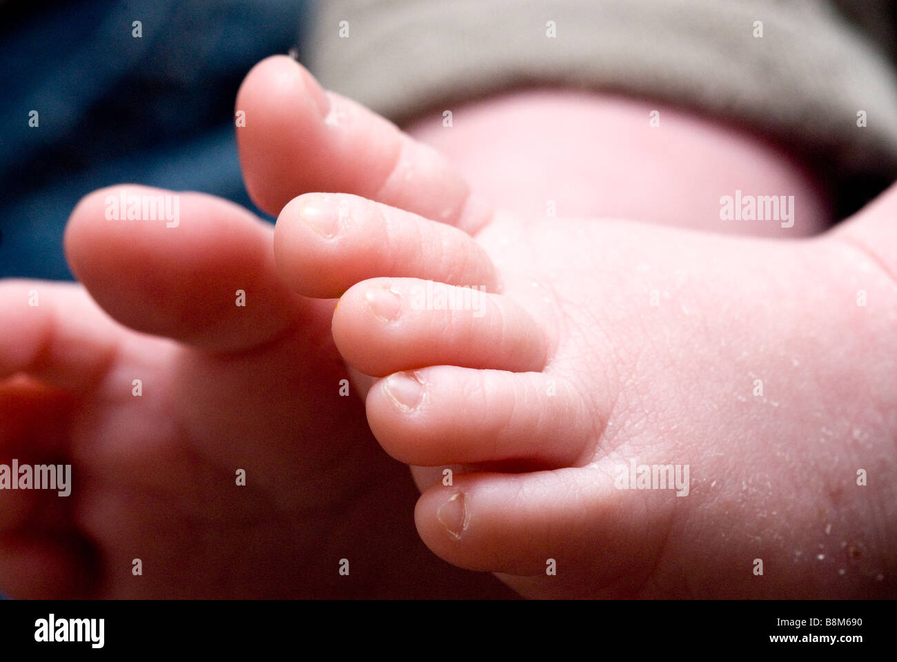 Digits toes hi-res stock photography and images - Alamy