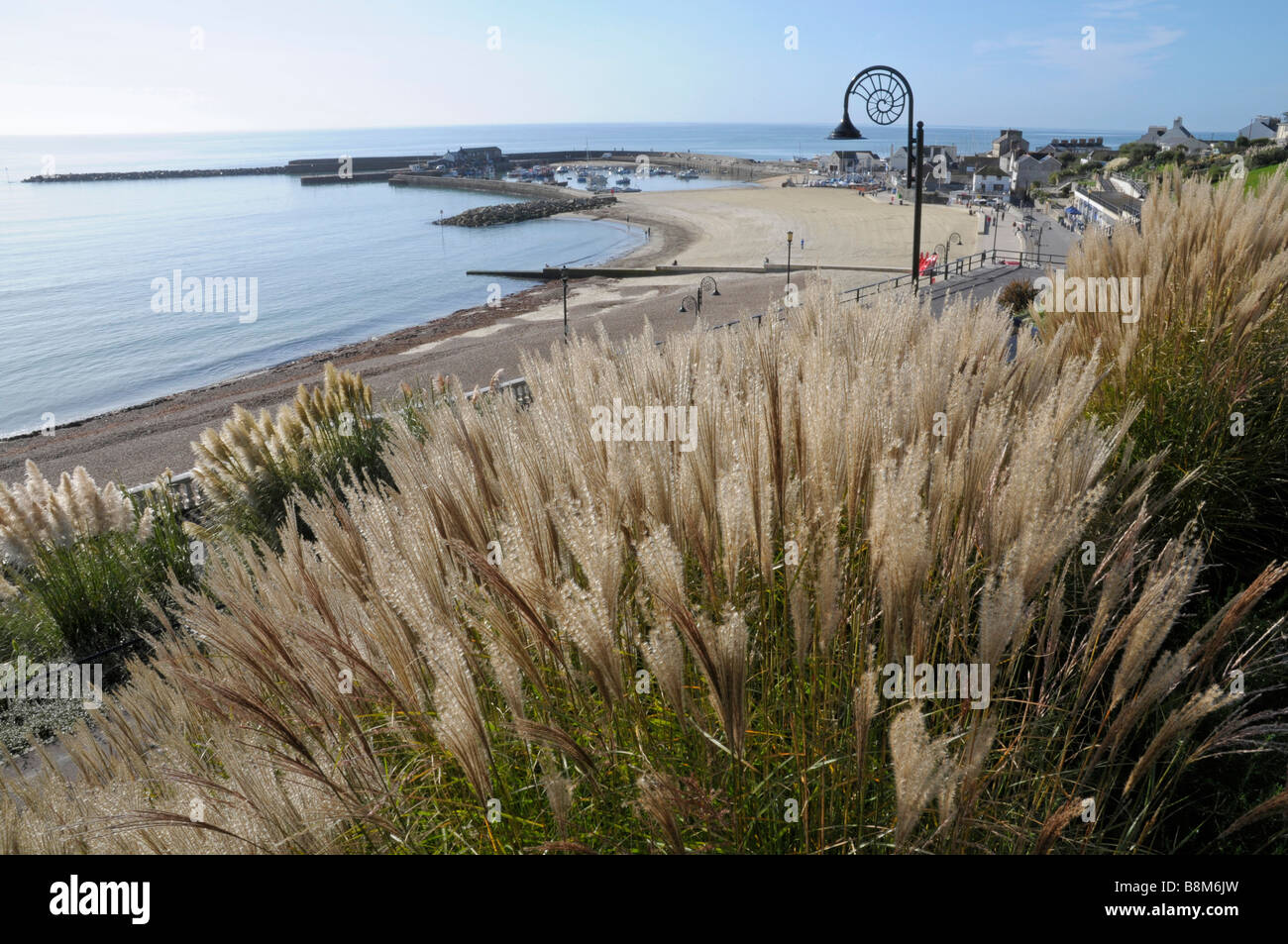 Looking towards The Cobb at Lyme Regis, Dorset, with Langmoor Gardens ...