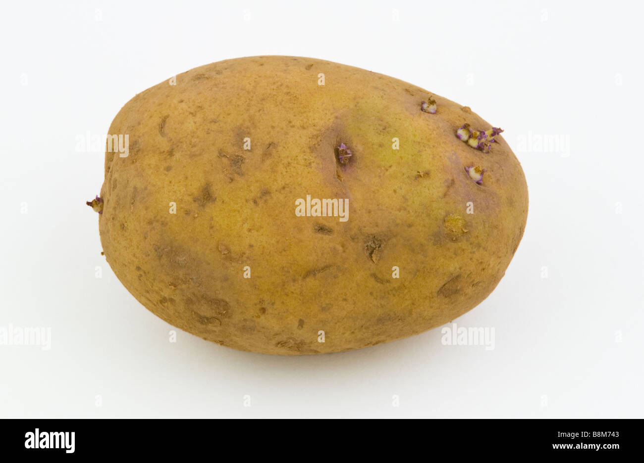 Home guard potato hi-res stock photography and images - Alamy