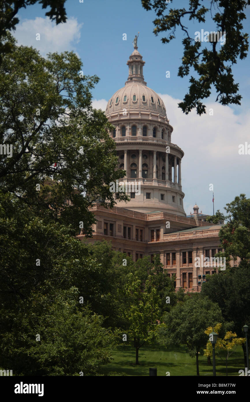 Texas state tree hi-res stock photography and images - Alamy