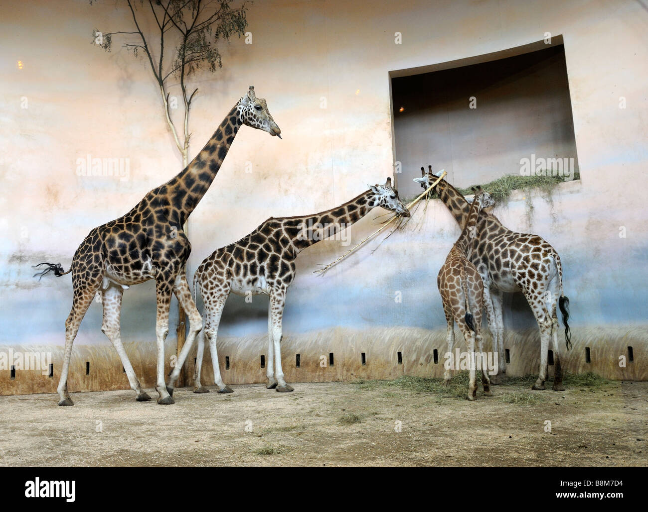 Prague zoo hi-res stock photography and images - Alamy