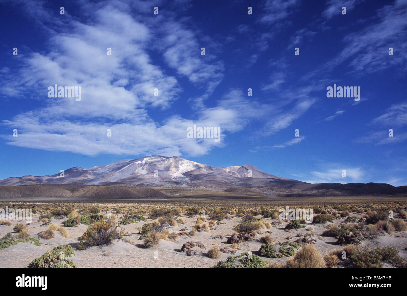 Isluga volcano and high altitude puna desert, Isluga National Park ...